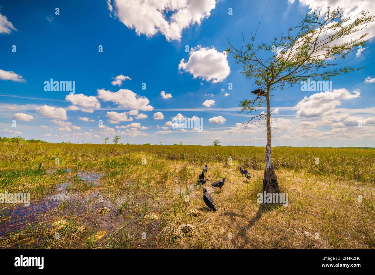 United States, Florida, Everglades National Park listed as World ...