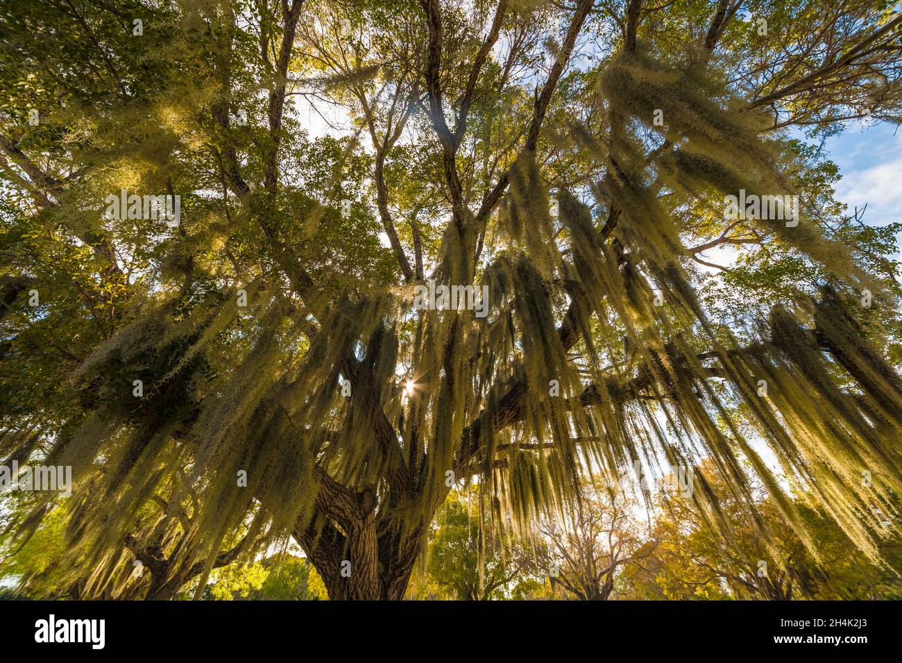 United States, Florida, Everglades National Park, UNESCO World Heritage ...