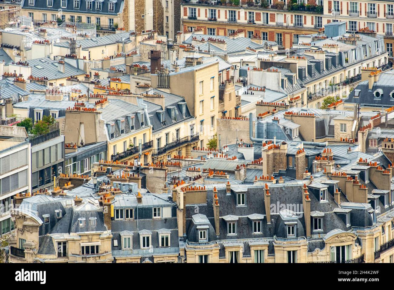 France, Paris, zinc roof of Paris, Haussmannian building, 16th ...