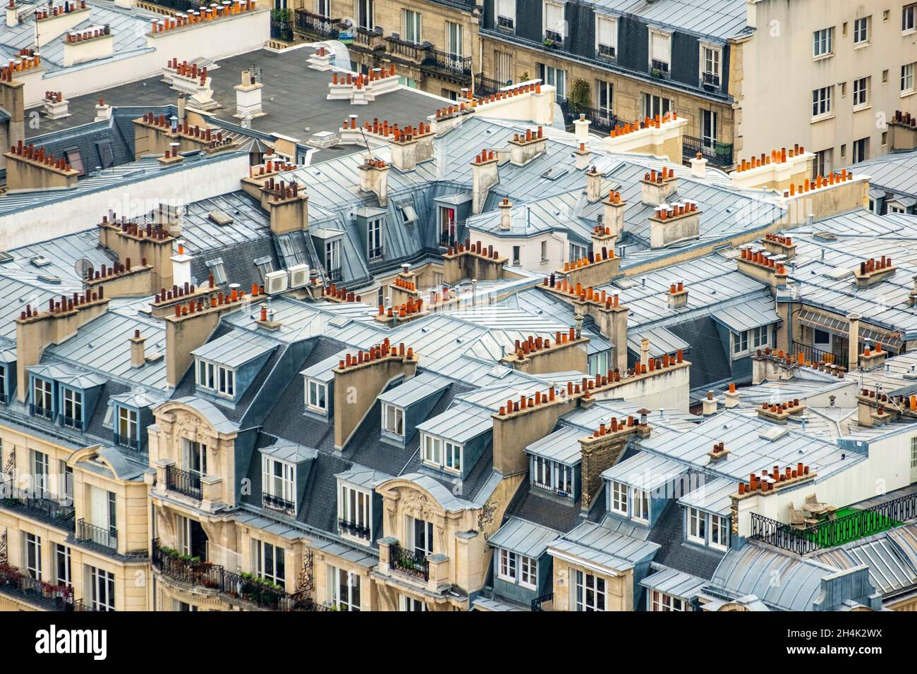 France, Paris, zinc roof of Paris, Haussmannian building, 16th ...