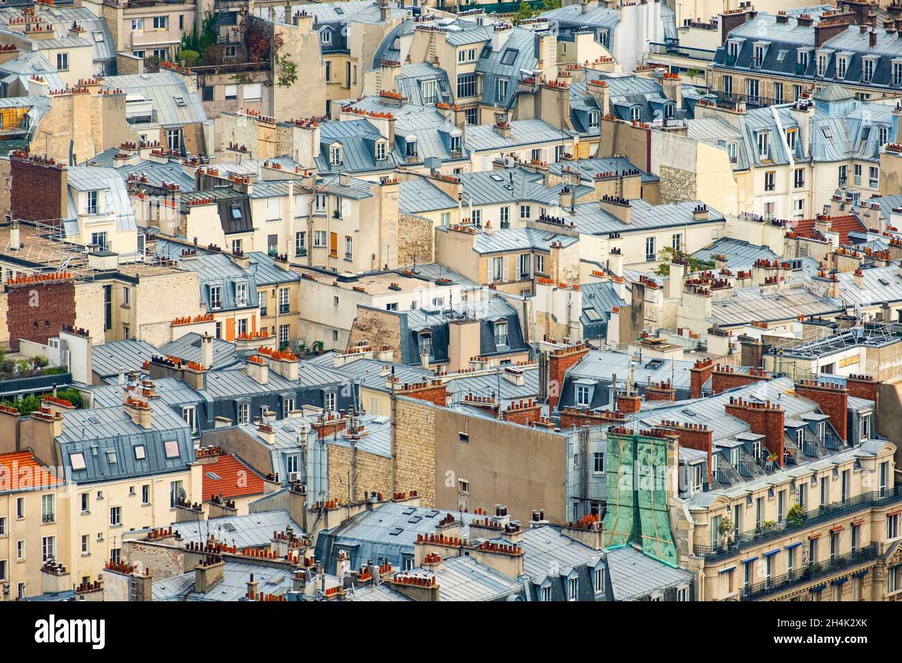 France, Paris, zinc roof of Paris, Haussmannian building, 16th ...
