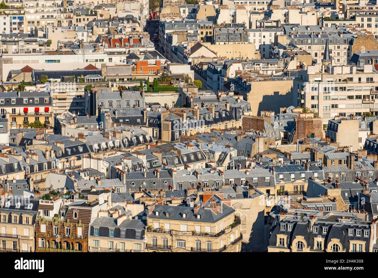 France, Paris, zinc roof of Paris, Haussmannian building, 16th ...