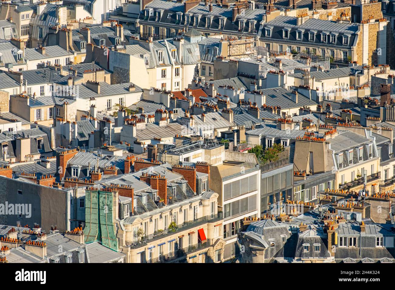 France, Paris, zinc roof of Paris, Haussmannian building, 16th ...