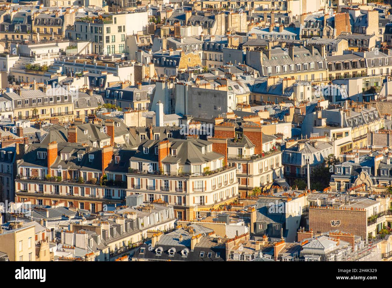 France, Paris, zinc roof of Paris, Haussmannian building, 16th ...