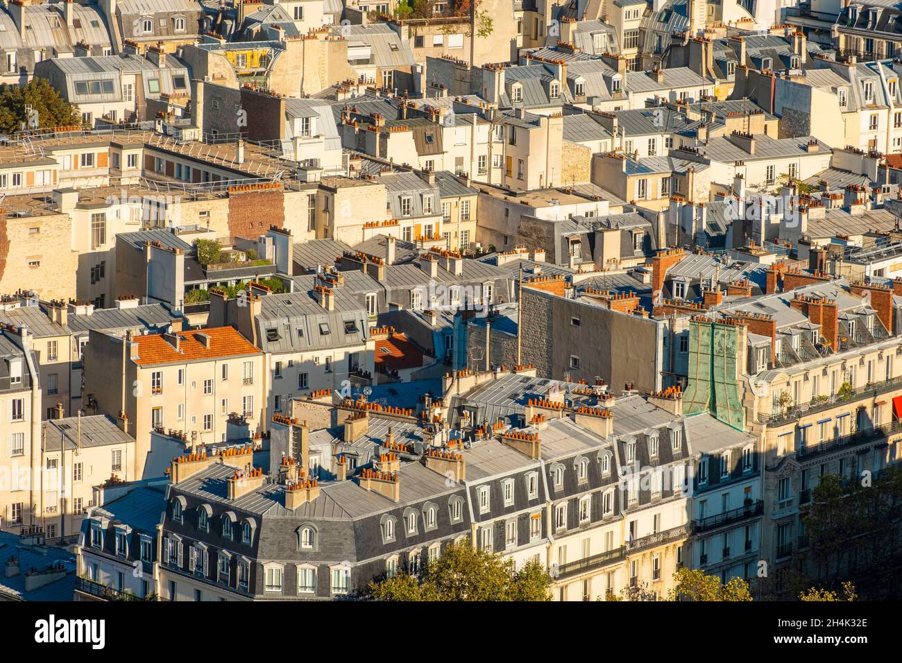 France, Paris, zinc roof of Paris, Haussmannian building, 16th ...