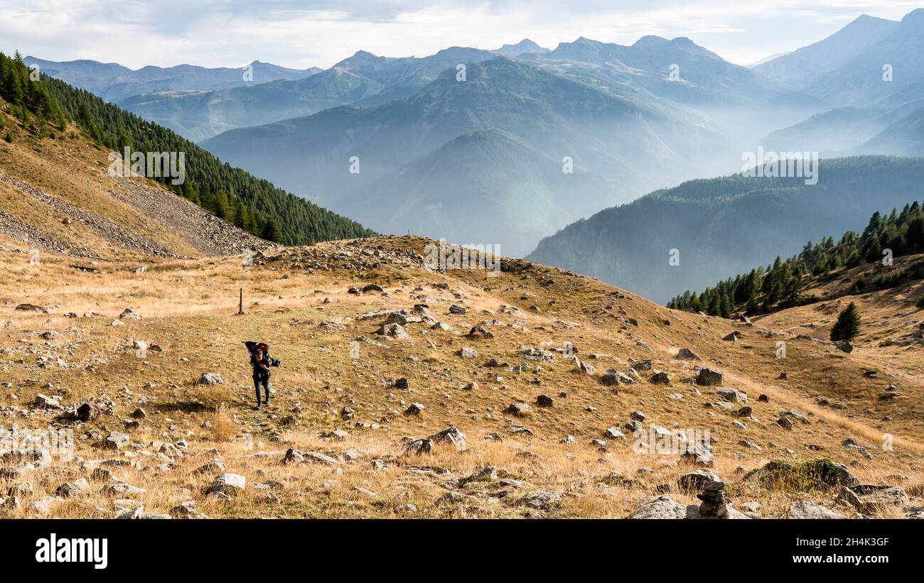 Mesmerizing landscape dense coniferous hi-res stock photography and ...