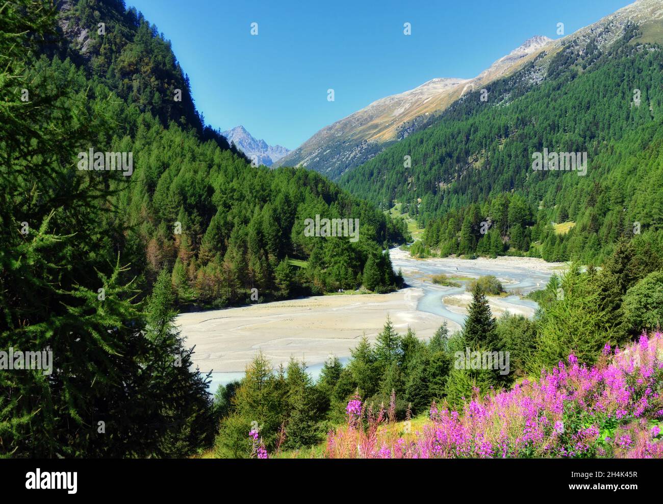 Alpine river though a mountain valley near Zernezn, canton Graubunden ...