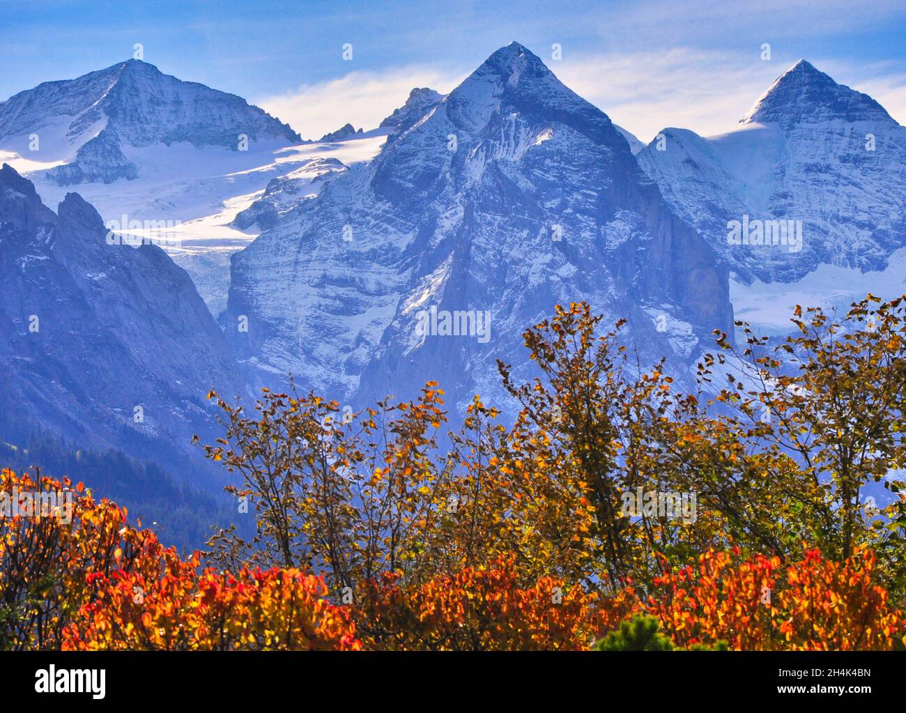 Bernese highlands hi-res stock photography and images - Alamy