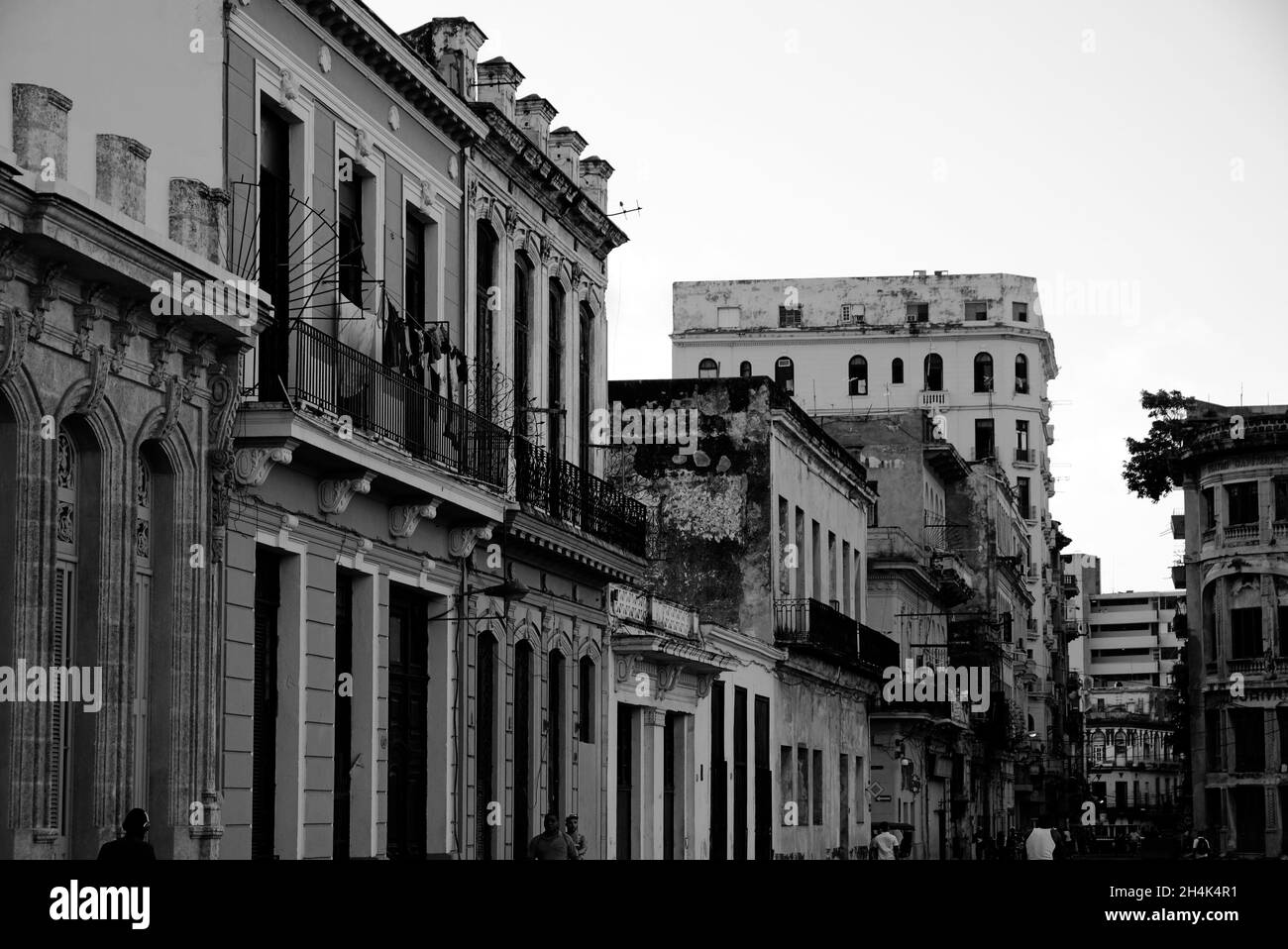 Grayscale shot of a beautiful street full of old antique architecture ...