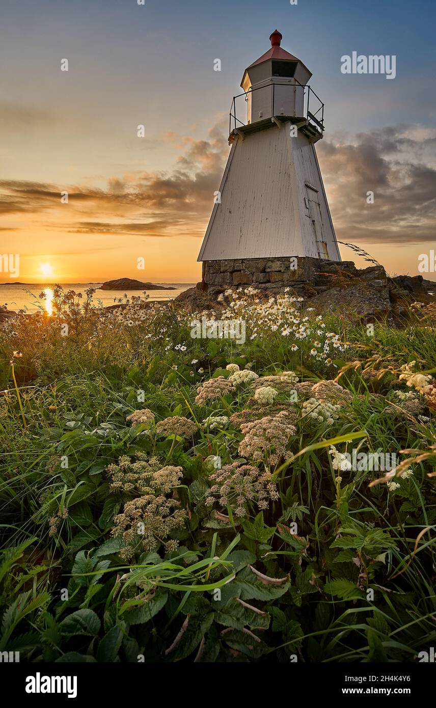 Norway spring landscape flowers hi-res stock photography and images - Alamy