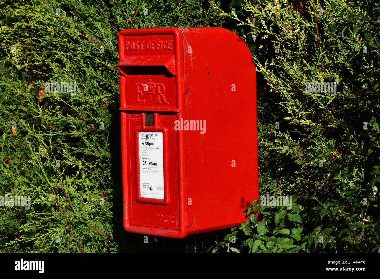 A bright red post box against the back ground of a hedge of conifers on ...