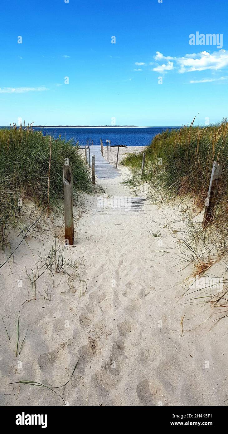 Vertical shot grass beach hi-res stock photography and images - Alamy