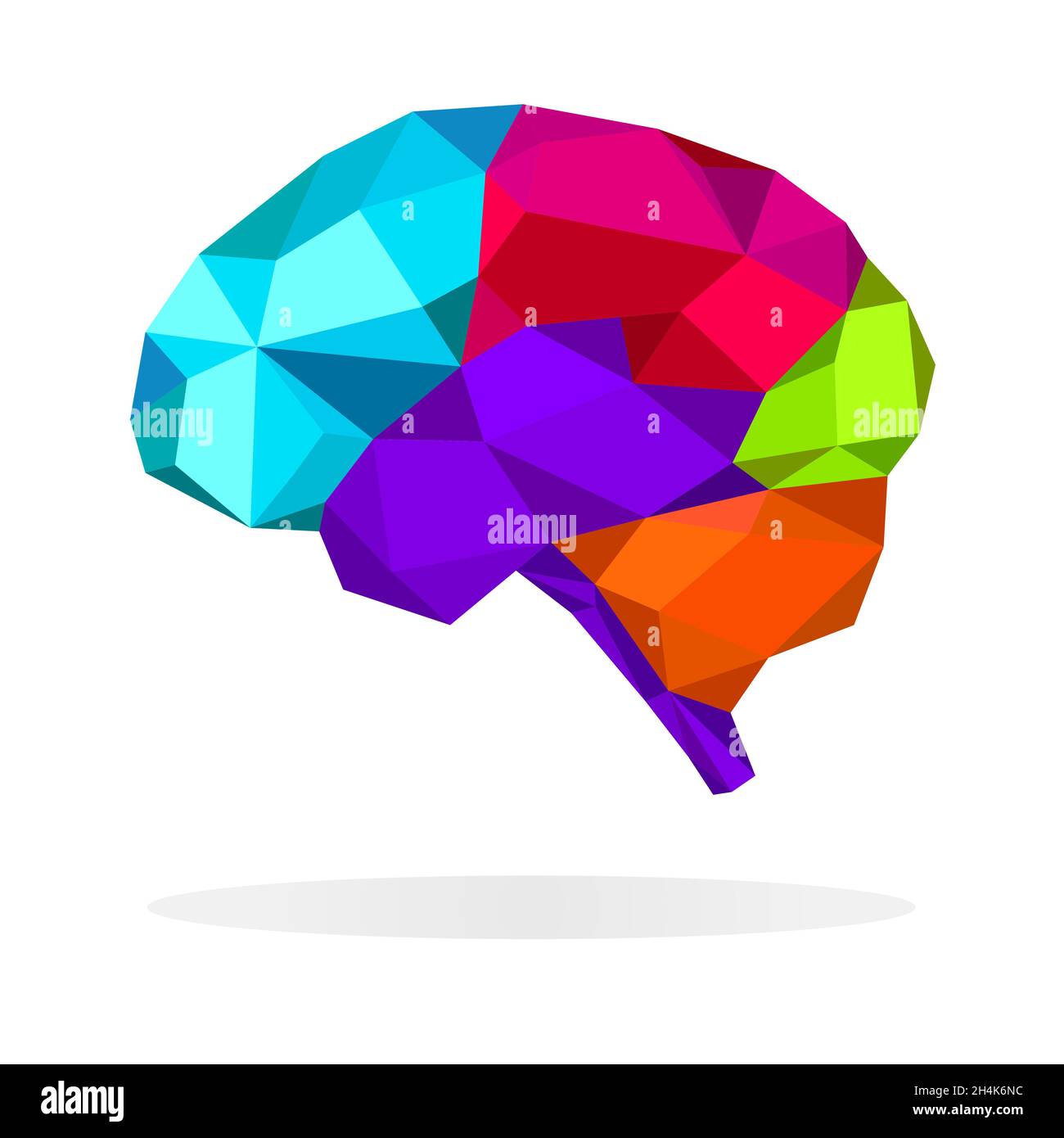 Abstract Brain Vector
