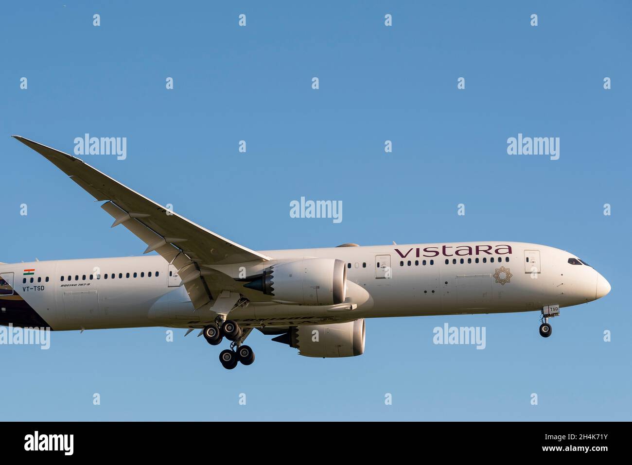 Vistara airline (Tata) Boeing 787 Dreamliner airliner jet plane VT-TSD ...