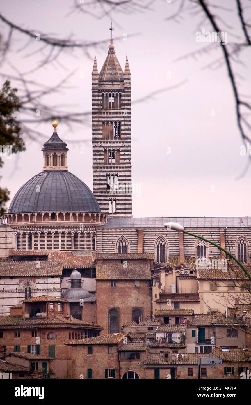 Siena Cathedral white and dark green striped marble bell tower and ...