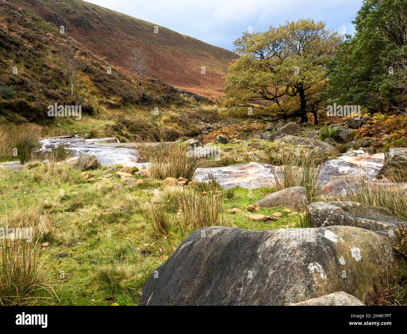 balanced landscape with trees, mountains and a stream Stock Photo - Alamy