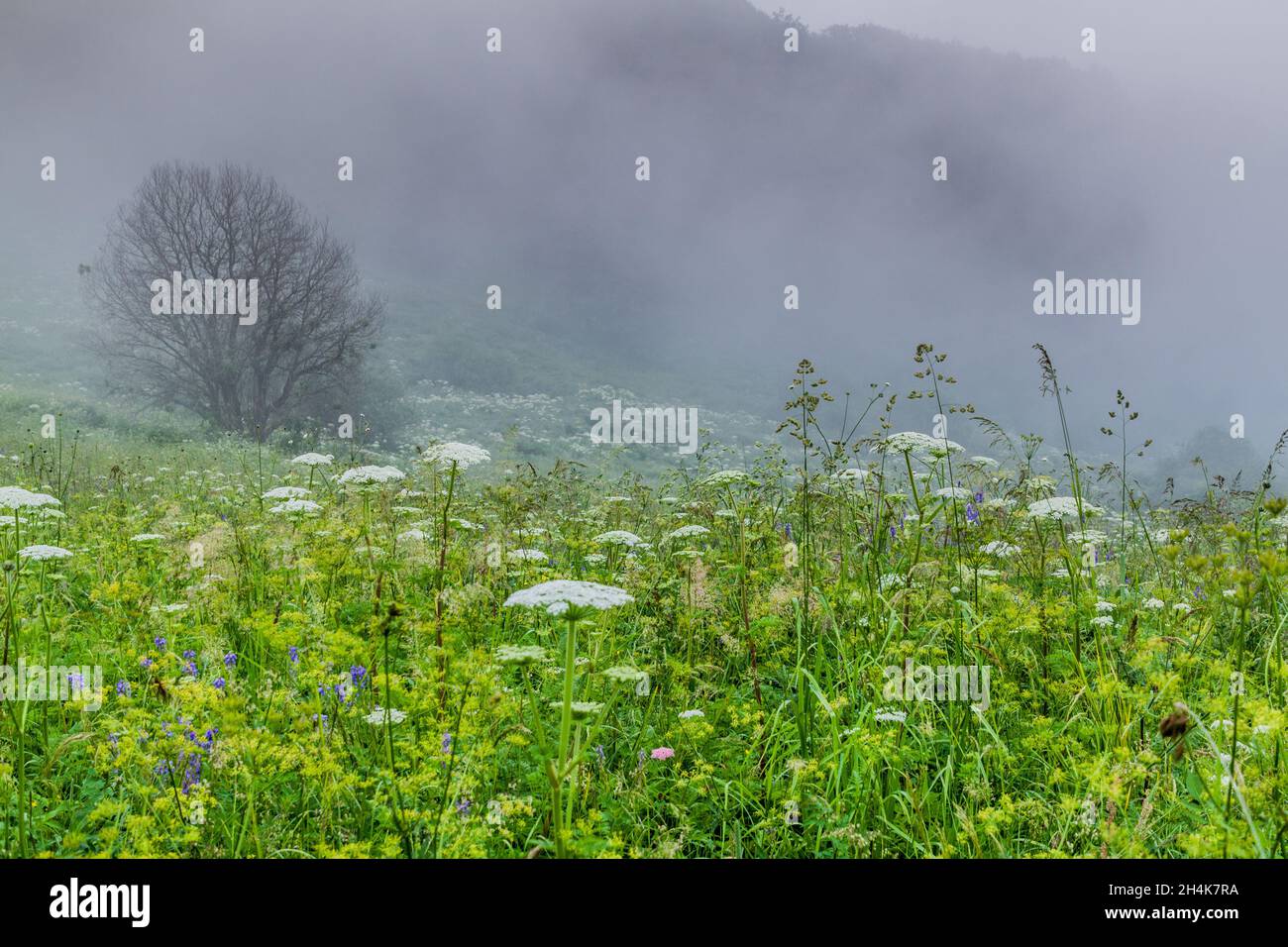 Landscape of Dilijan National Park in Armenia Stock Photo - Alamy