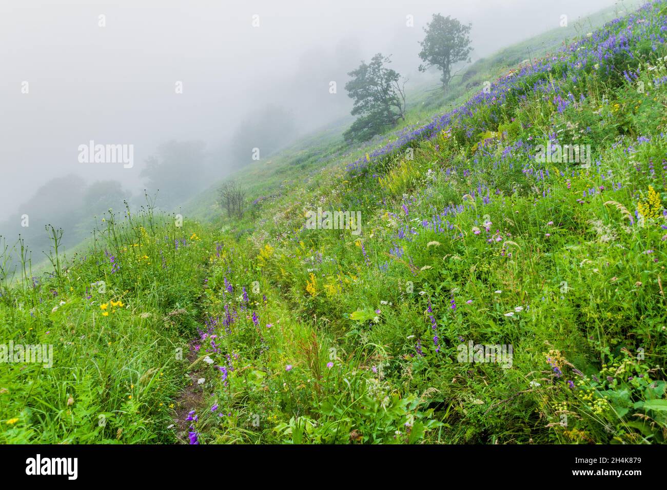 Landscape of Dilijan National Park in Armenia Stock Photo - Alamy