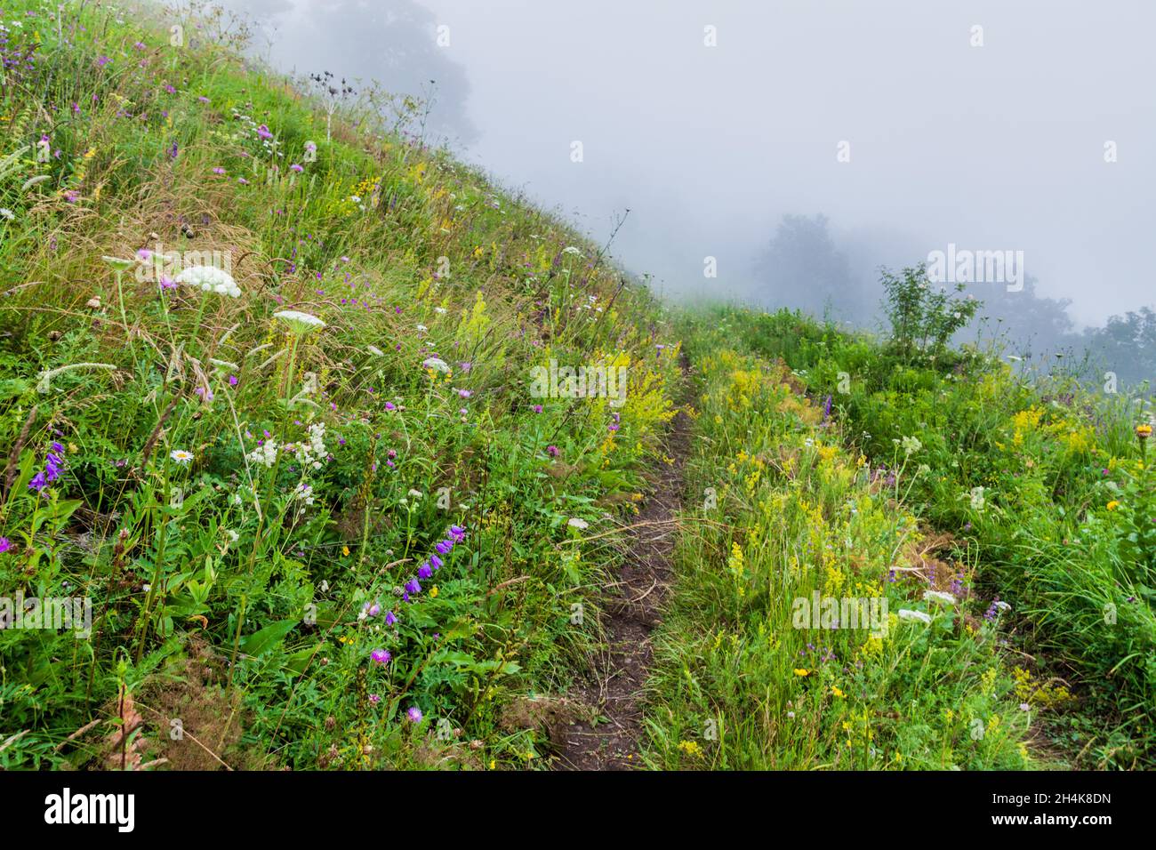 Landscape of Dilijan National Park in Armenia Stock Photo - Alamy