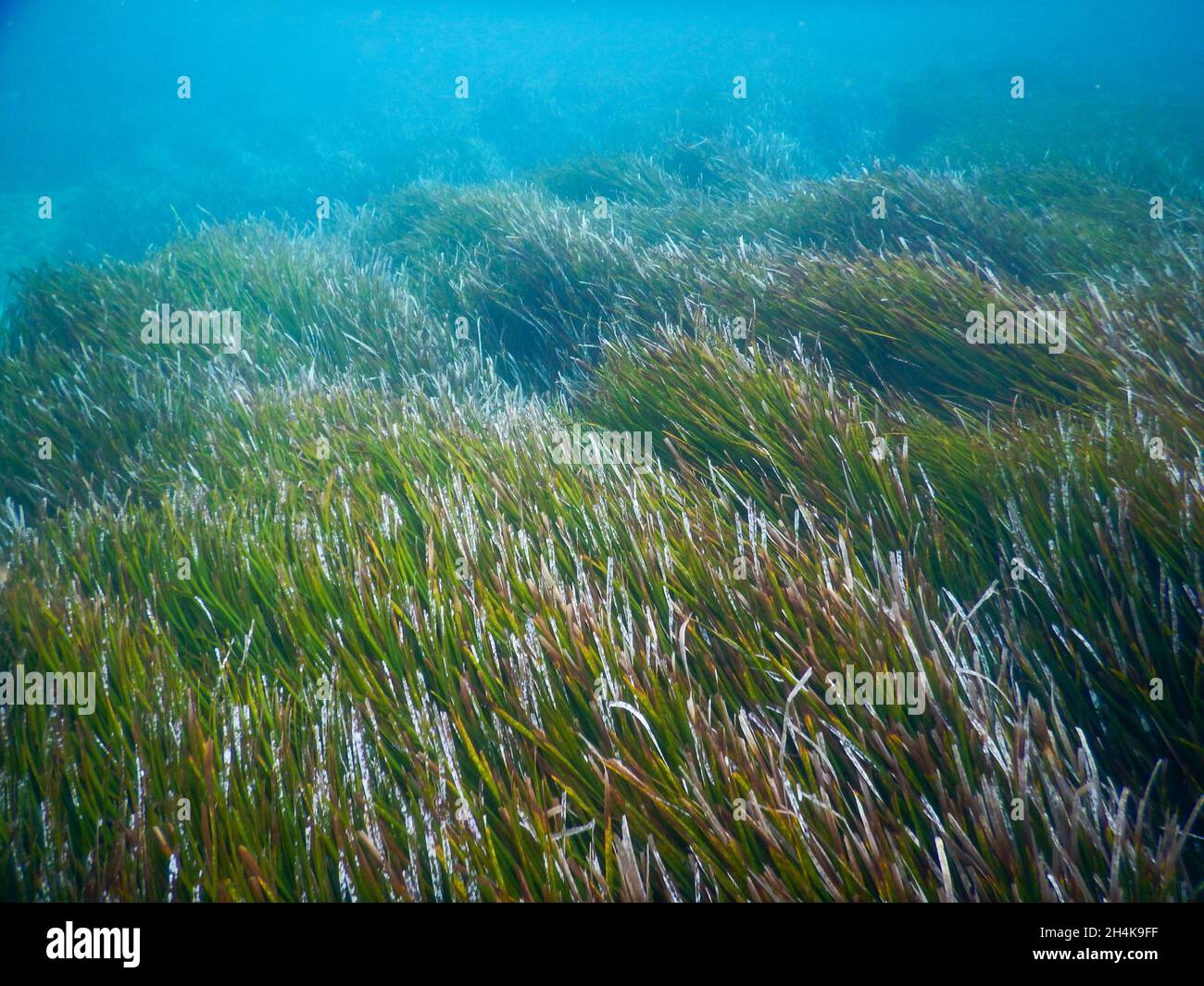 Real images hi-res stock photography and images - Alamy