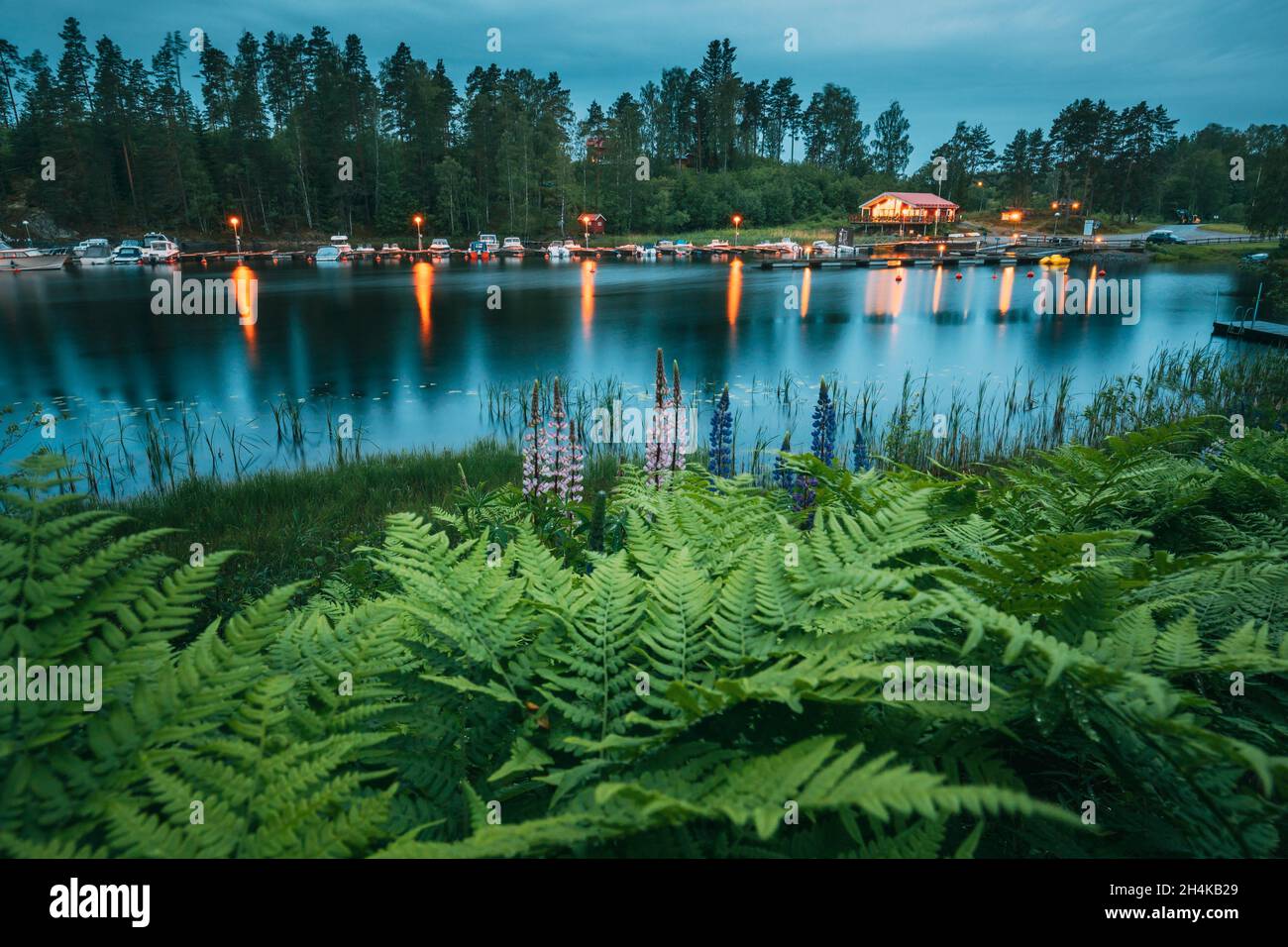 Sweden forest cabin night hi-res stock photography and images - Alamy