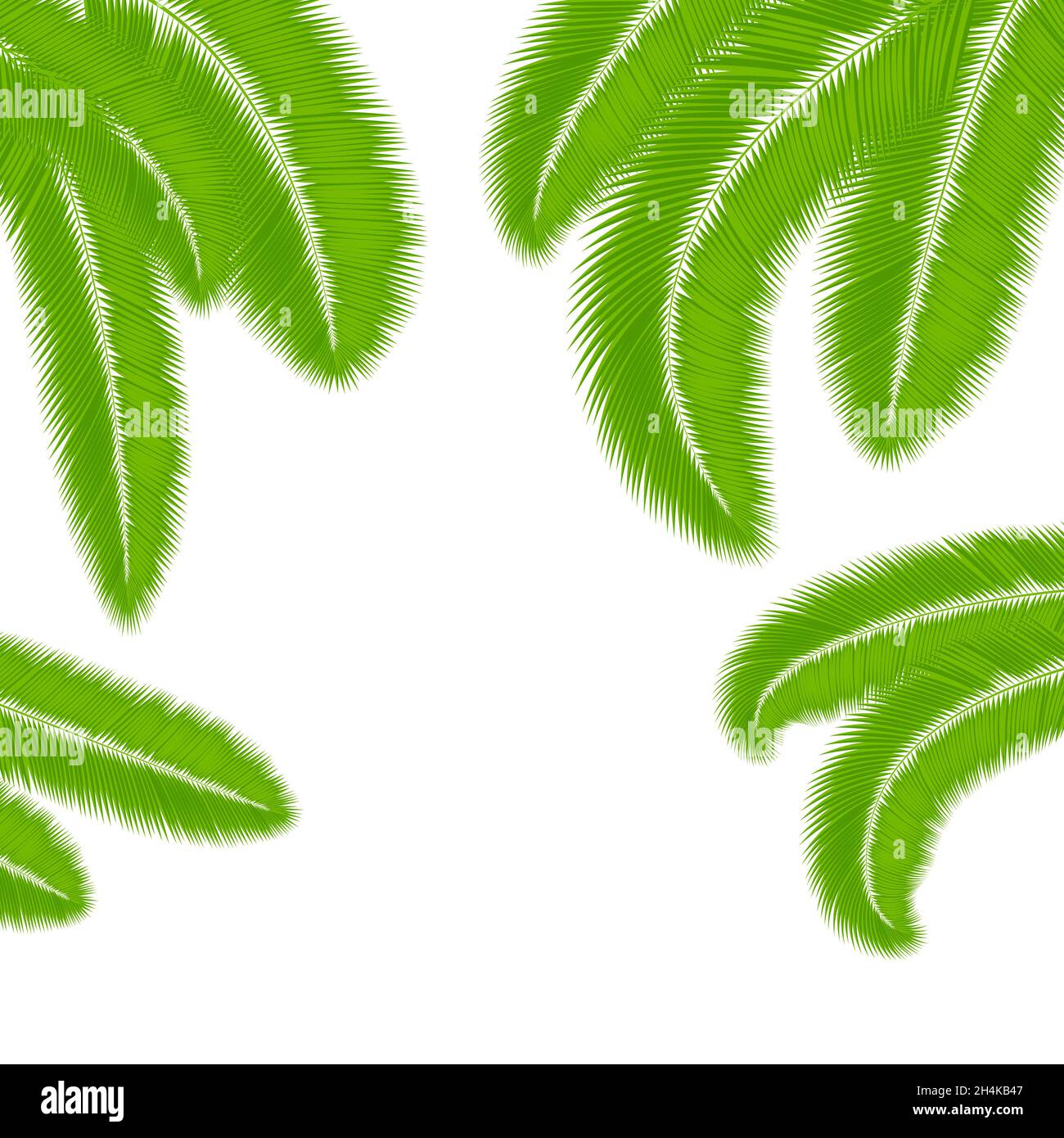 Sago palm fronds Stock Vector Images - Alamy Sago palm fronds Stock Vector Images - Alamy