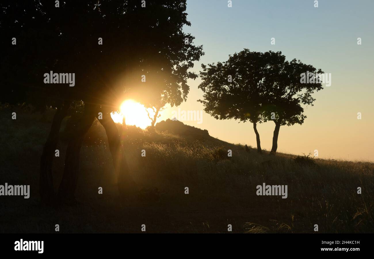 Macin romania hi-res stock photography and images - Alamy