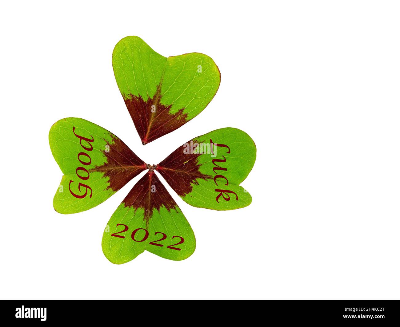Lucky clover with the inscription "Good luck 2022" in front of a white ...