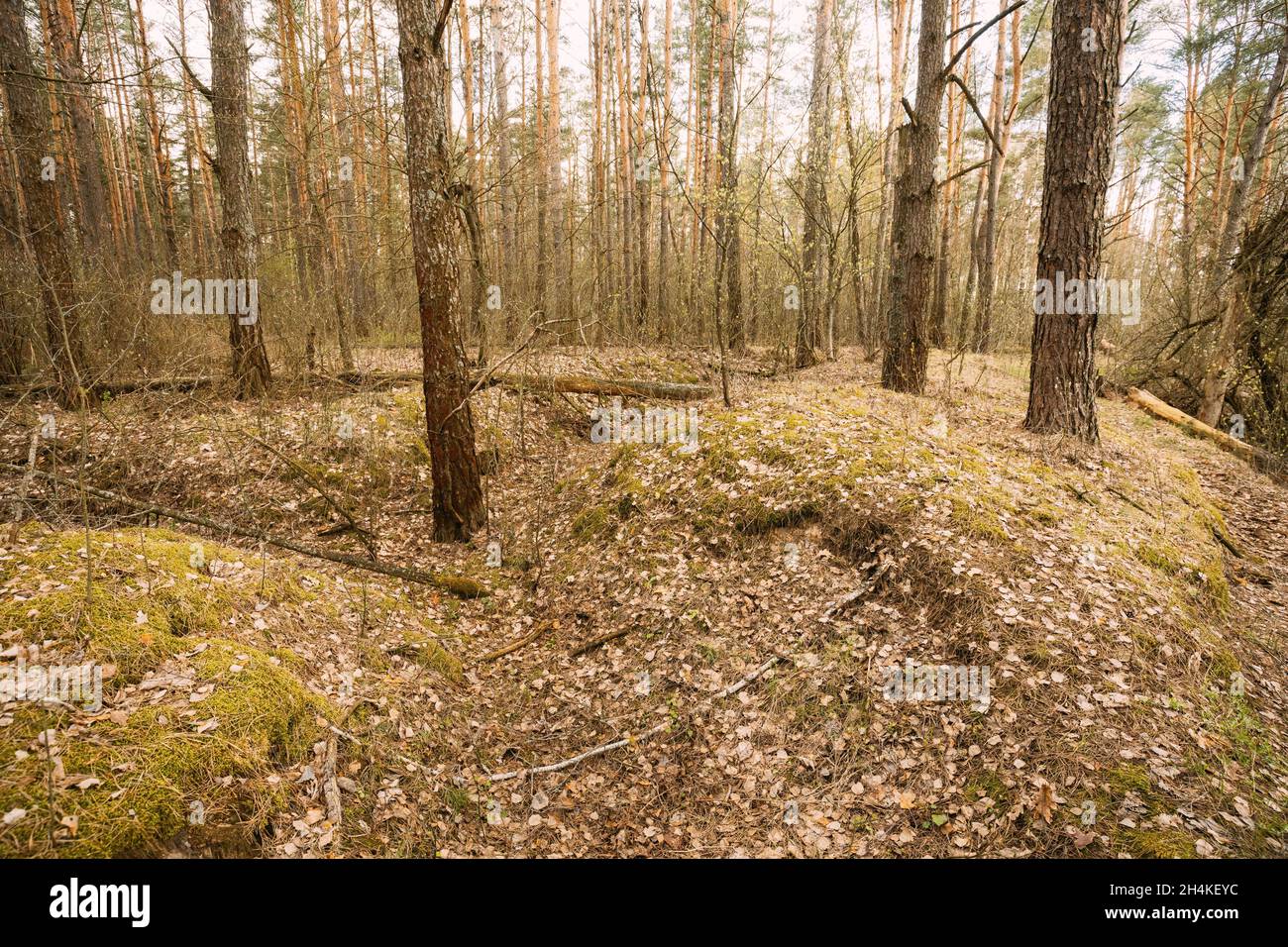 World war ii season hi-res stock photography and images - Alamy