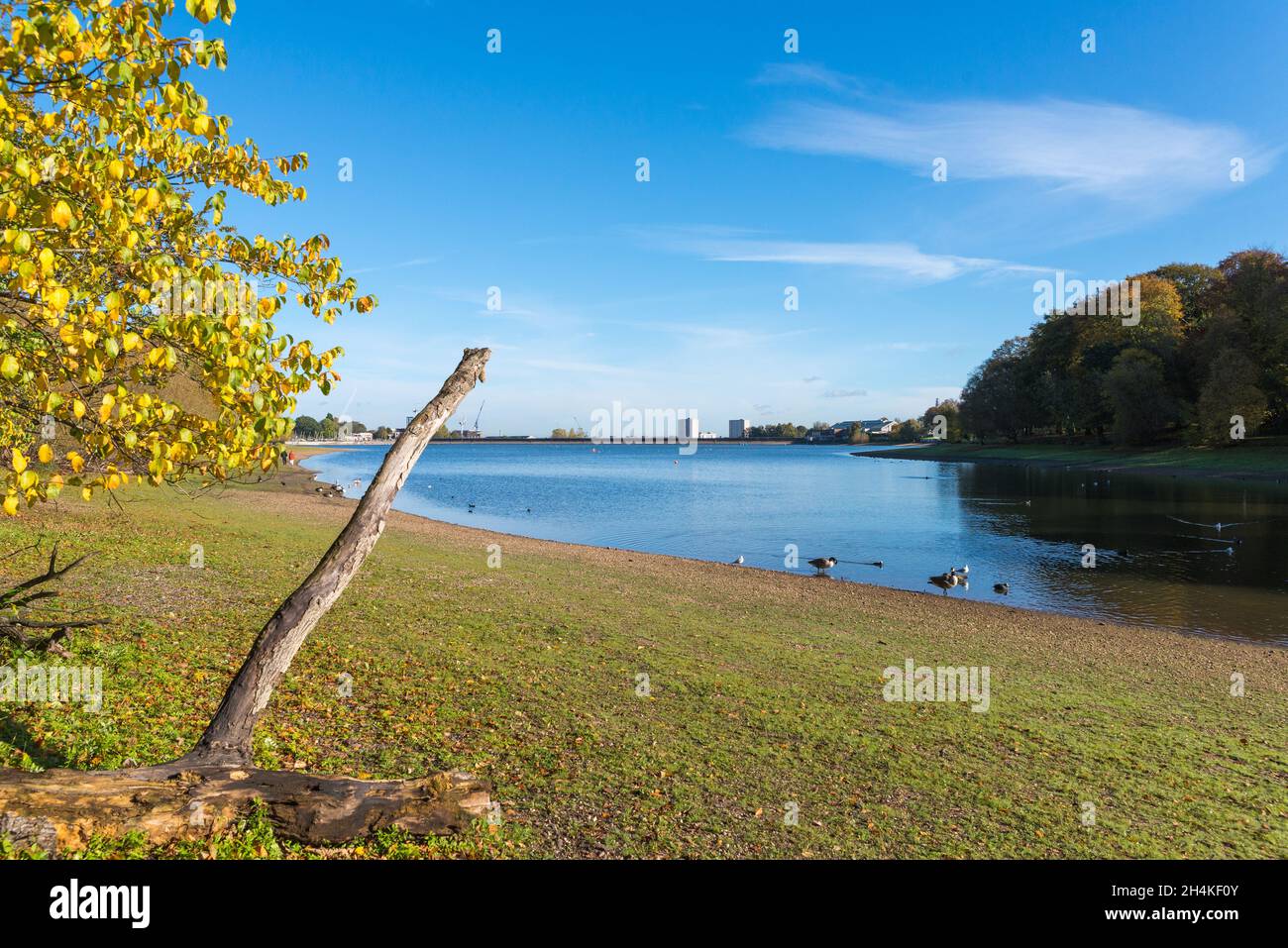 Edgbaston reservoir birmingham hi-res stock photography and images - Alamy