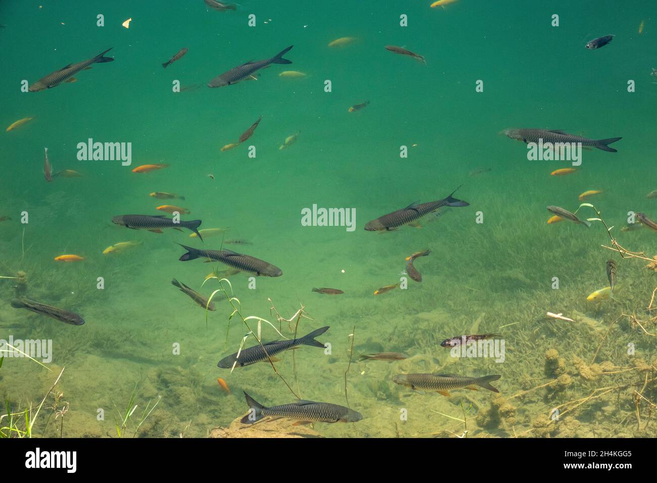 Tasik biru lake hi-res stock photography and images - Alamy