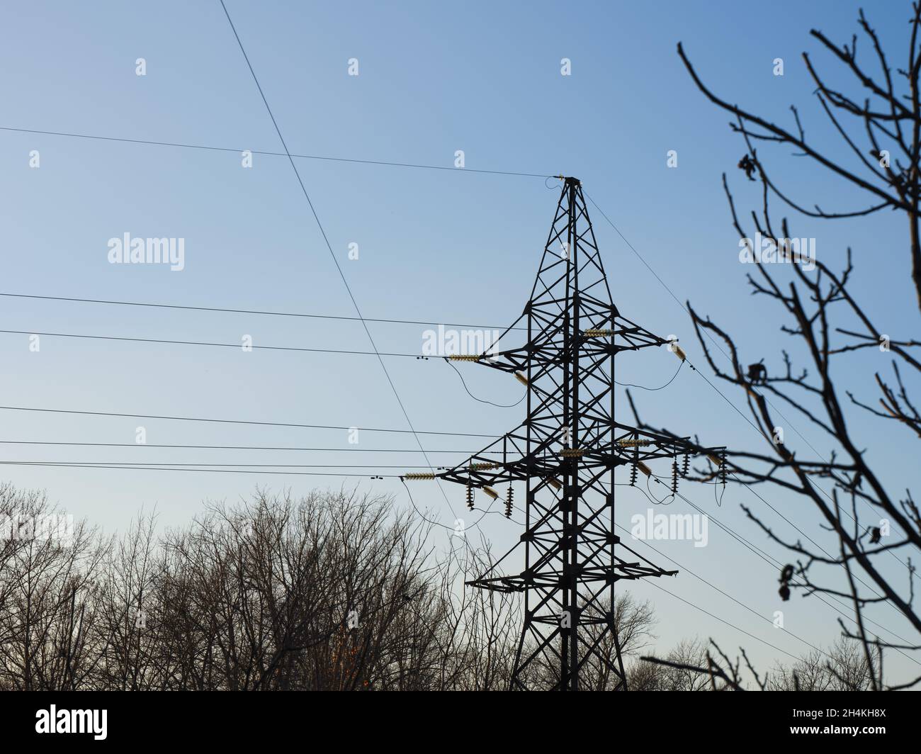 A transmission tower standing in a forest. Clear blue sky background ...