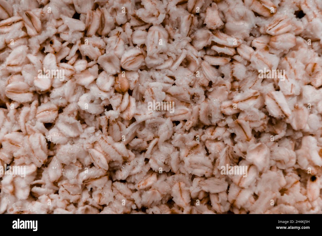 Boiled oatmeal close-up. Oatmeal texture Stock Photo - Alamy