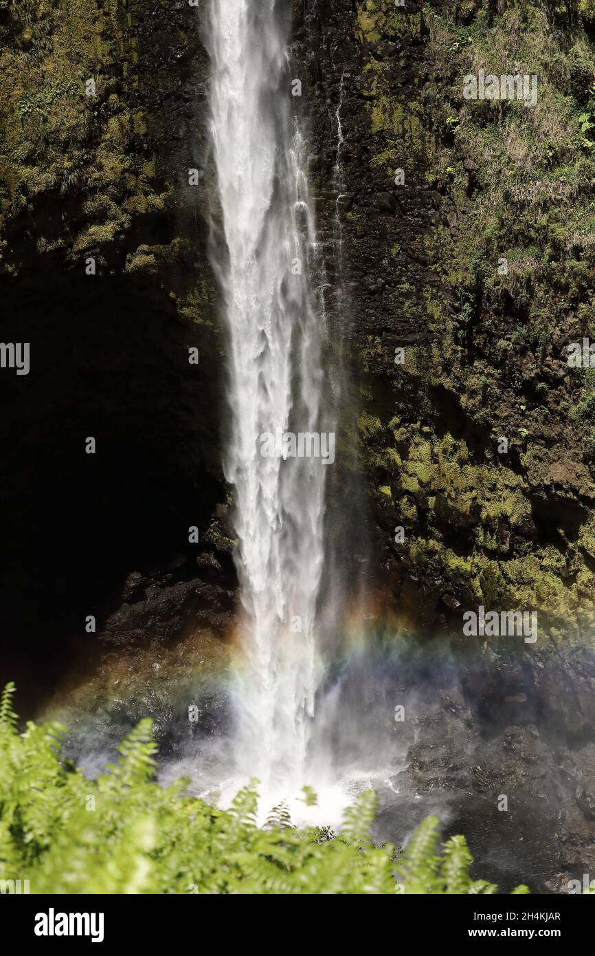 Akaka Fall State Park, Hawaii, United States Stock Photo - Alamy