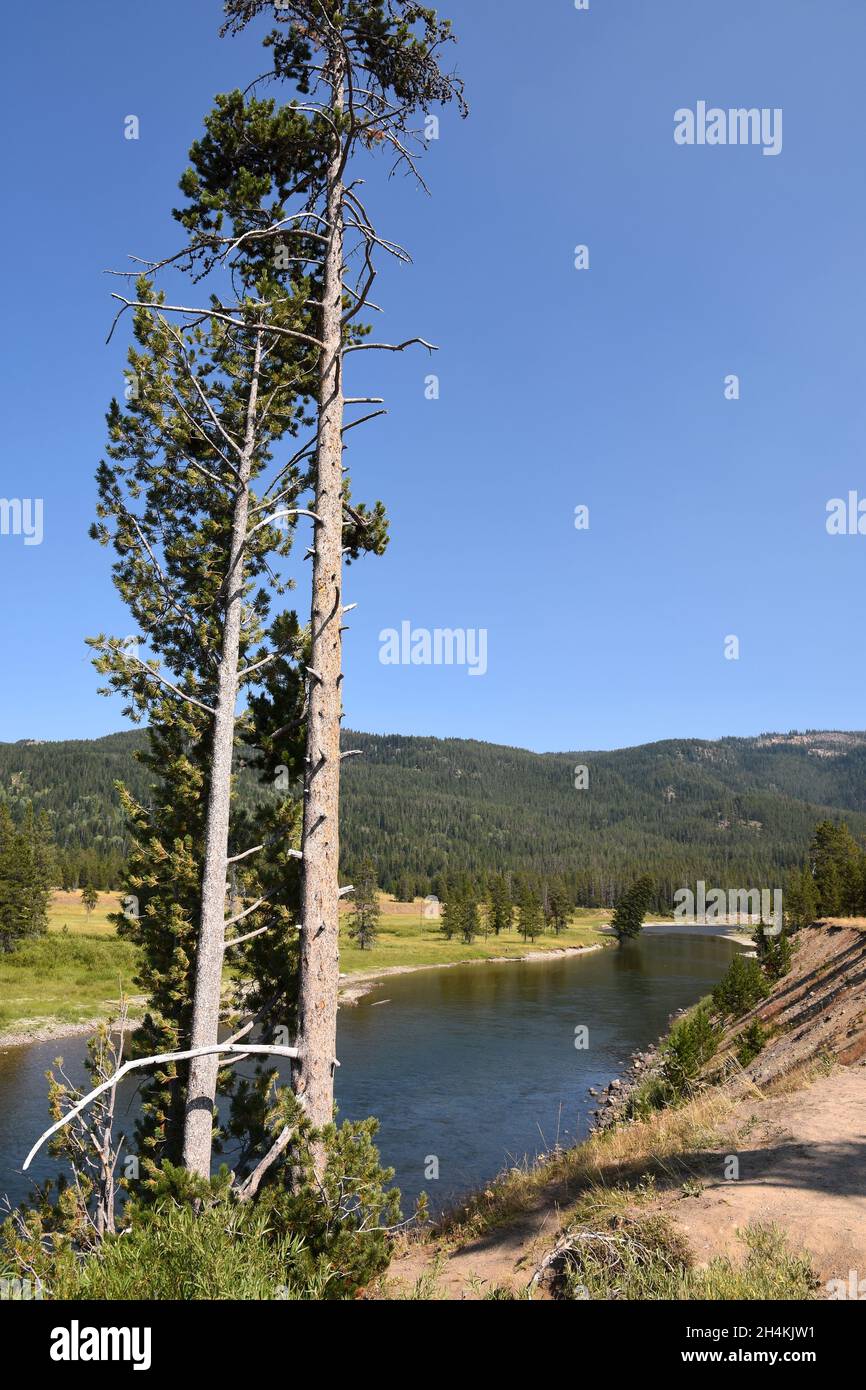 Yellowstone lake and Yellowstone river in Yellowstone National Park in ...