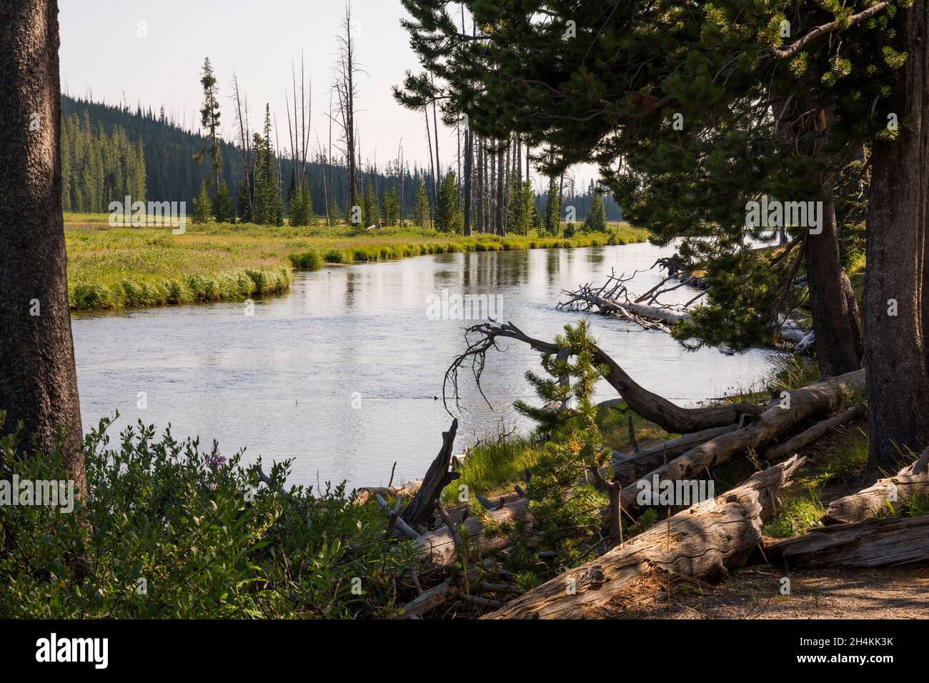Yellowstone lake and Yellowstone river in Yellowstone National Park in ...