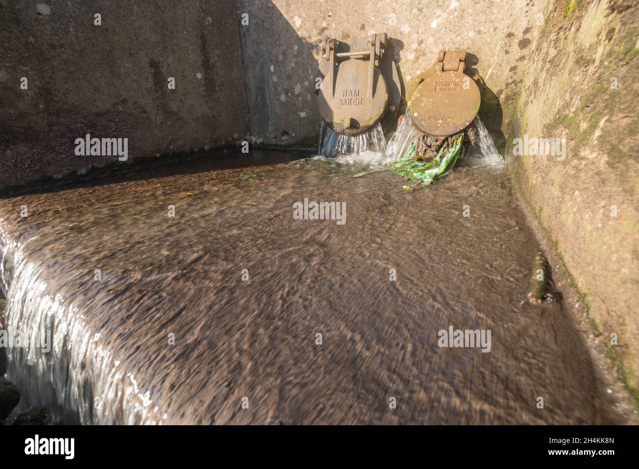 Sewage fungus growing as a result of untreated sewage being discharged ...