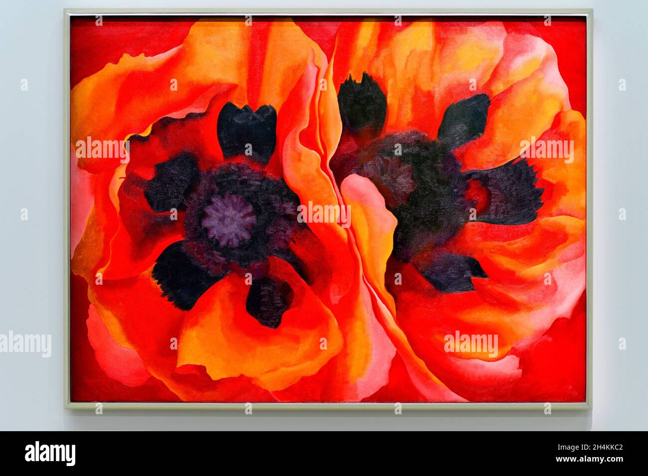 Georgia collection hi-res stock photography and images - Alamy