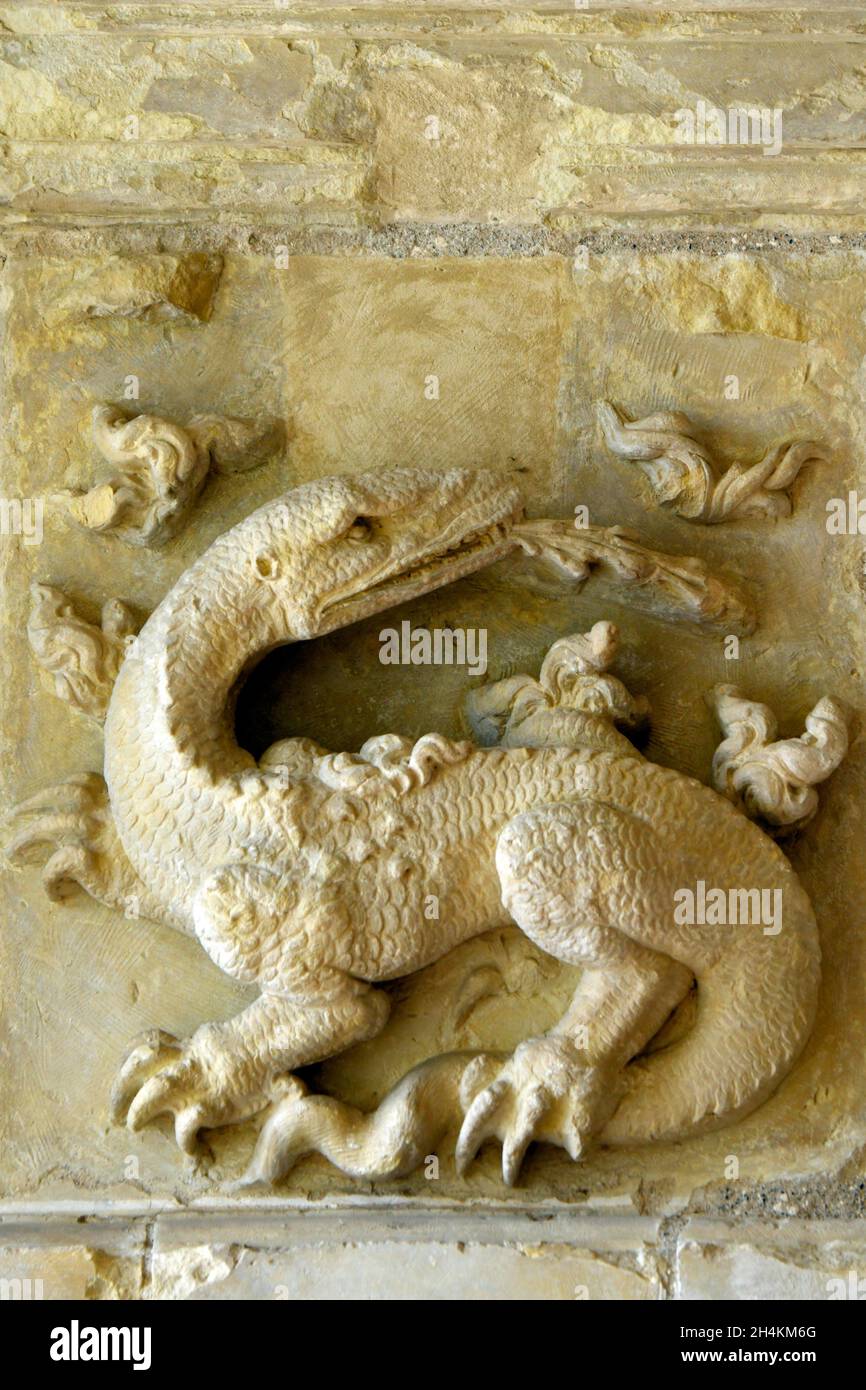 Salamander of francis i hi-res stock photography and images - Alamy