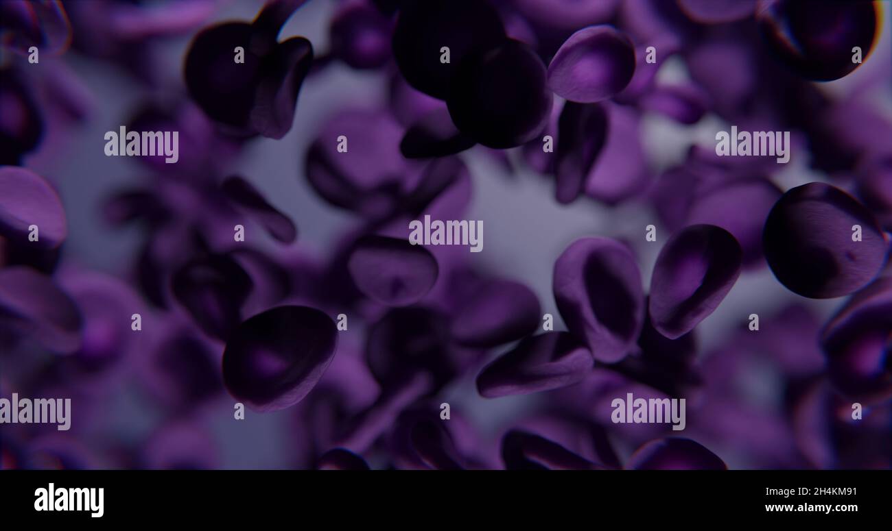 Purple blood cells under microscope abstract background 3d-rendering ...