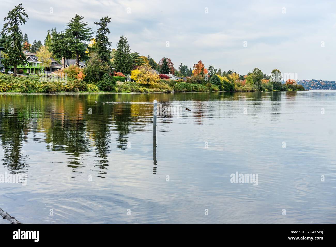 Fall colors are at their peak along Lake Washington in Seattle Stock ...