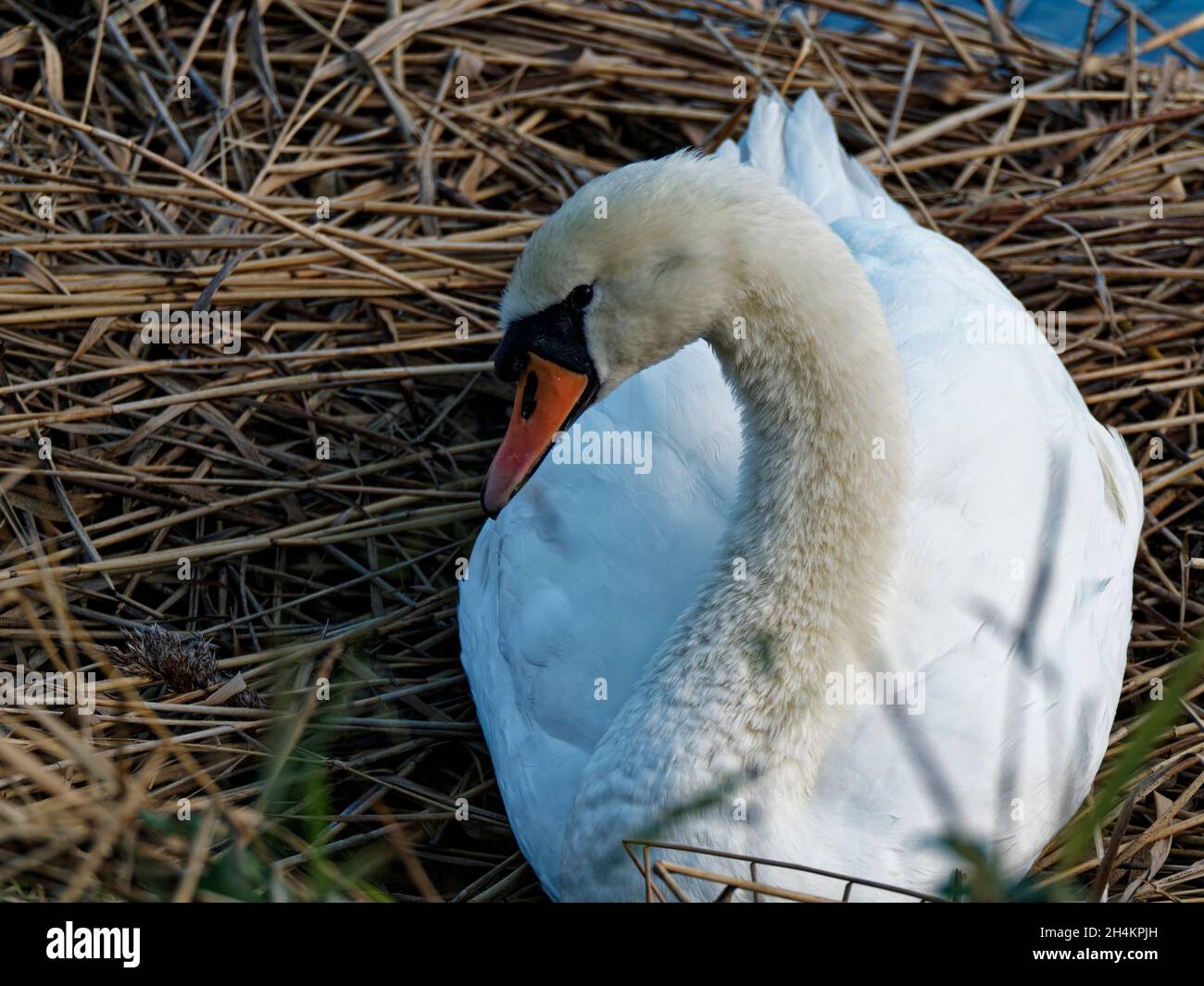 Sunny british isles hi-res stock photography and images - Alamy