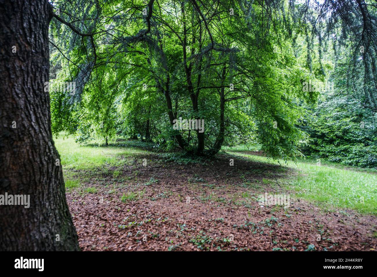 Villa cusani tittoni hi-res stock photography and images - Alamy