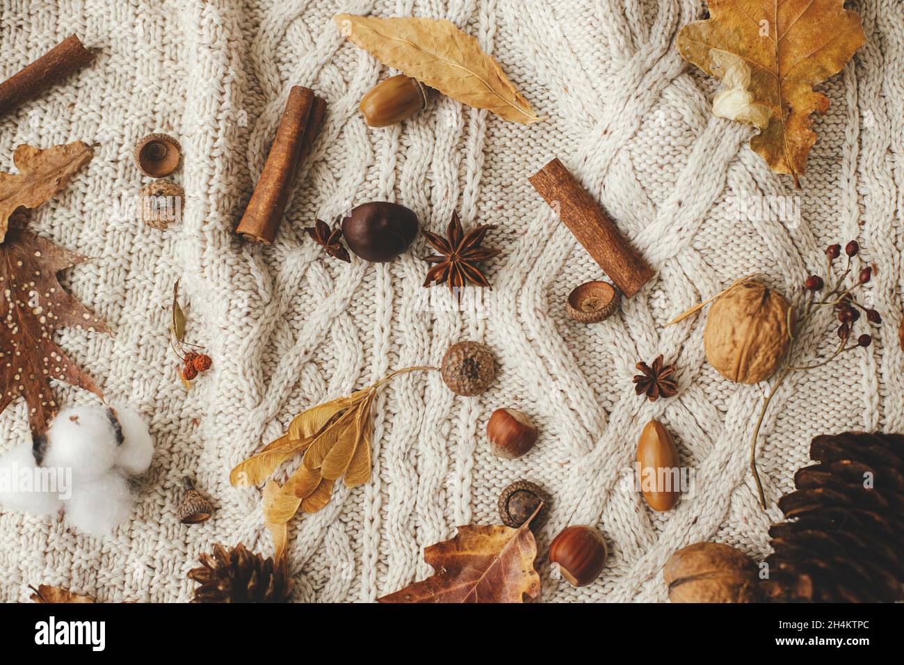Cozy autumn days. Stylish knitted sweater with autumn leaves, nuts ...