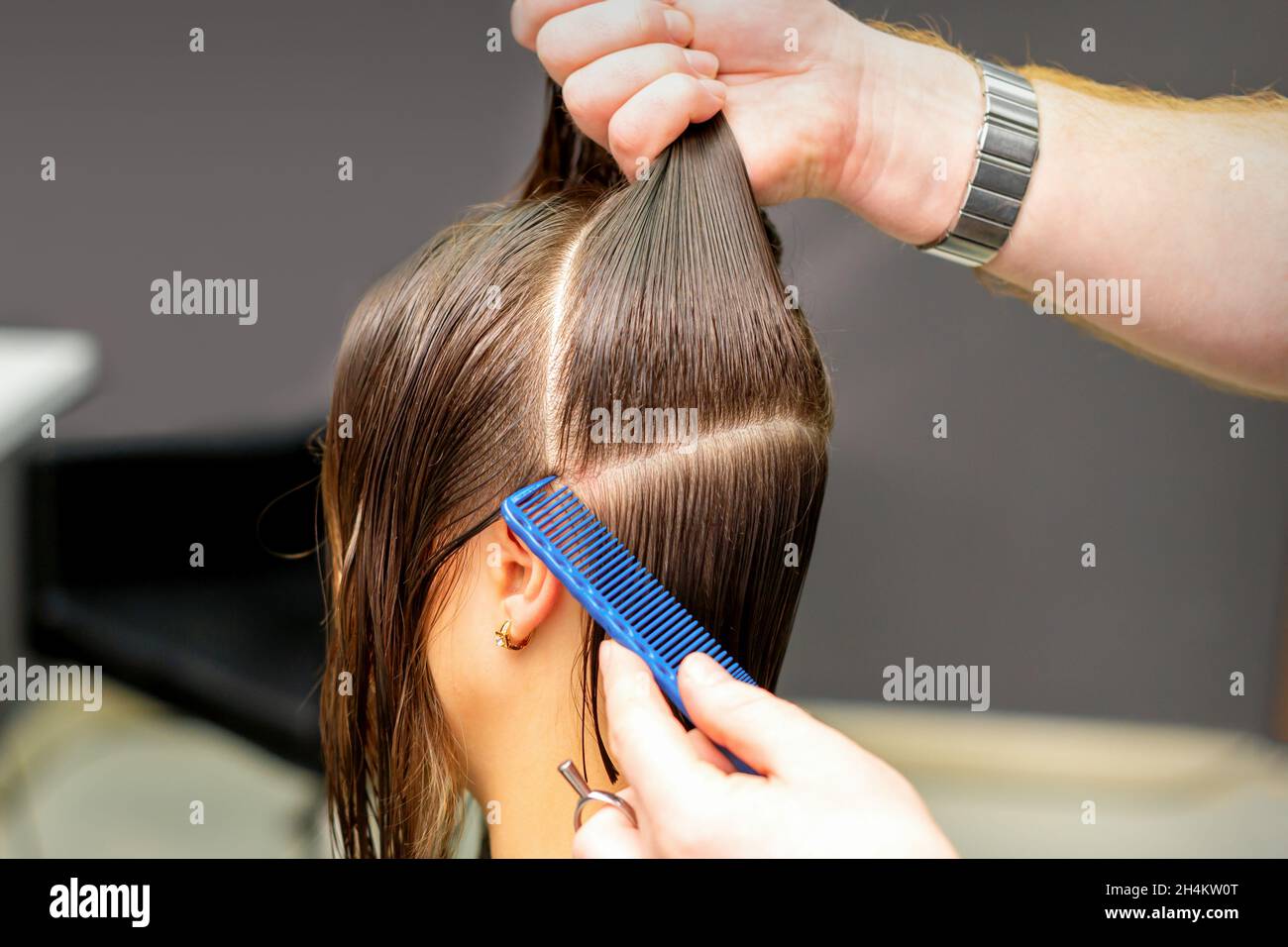 Male coiffeur divides women hair into sections with comb and hands in a ...
