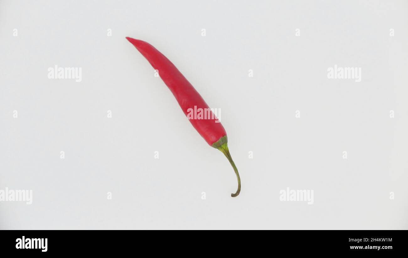 Single red chilli pepper against plain white background with copy space ...