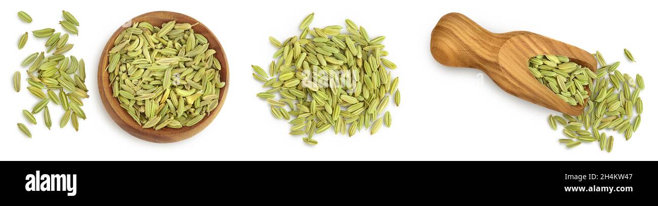 Dried fennel seeds isolated on white background with clipping path. Top ...