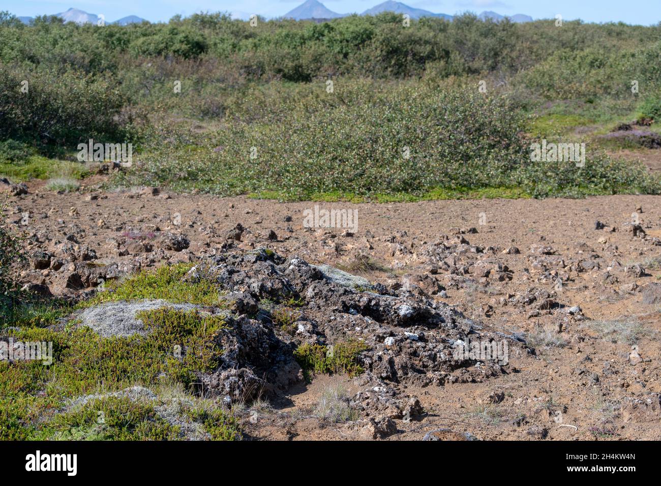 Landscape of path to Eldborg crater extinct volcano near Borgarnes ...