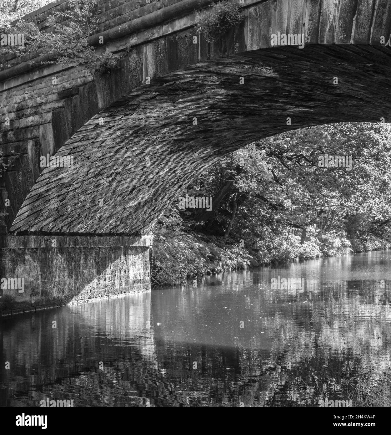 Grayscale shot of the arch of a bridge captured from the river Stock ...