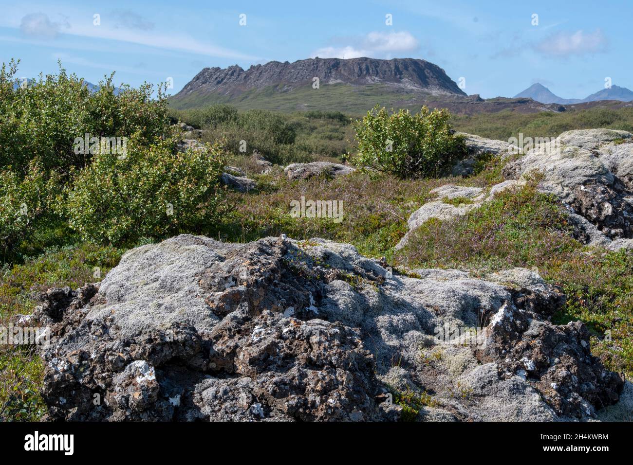 Landscape of Eldborg crater extinct volcano near Borgarnes Iceland ...